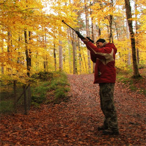 Alpine Arizona » What is There to Do in Alpine?